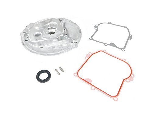 Briggs & Stratton Oil Sump Assembly 594101 - Infinite Parts Direct